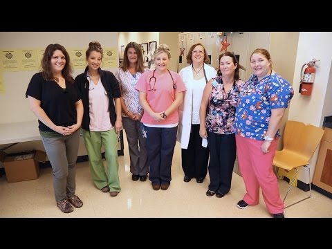 2015 Clinical Collaboration and Teamwork Award – Deborah Starr, C.R.N.P., JHM, JHCP