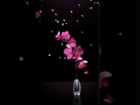 Black space purple flower Animated