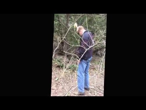 Line Transect Sampling (St. Edward's University.