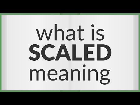 Scaled | meaning of Scaled