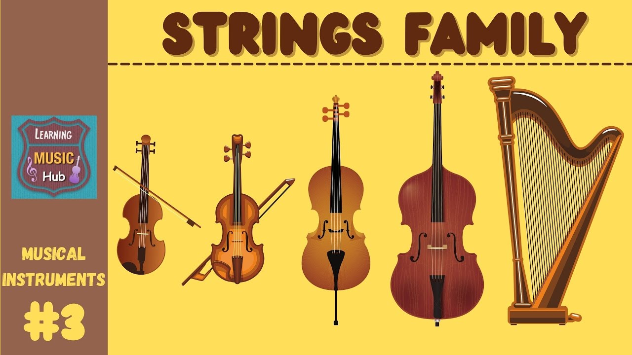 STRINGS FAMILY | INSTRUMENTS OF THE ORCHESTRA | LESSON #3 | LEARNING MUSIC HUB | ORCHESTRA