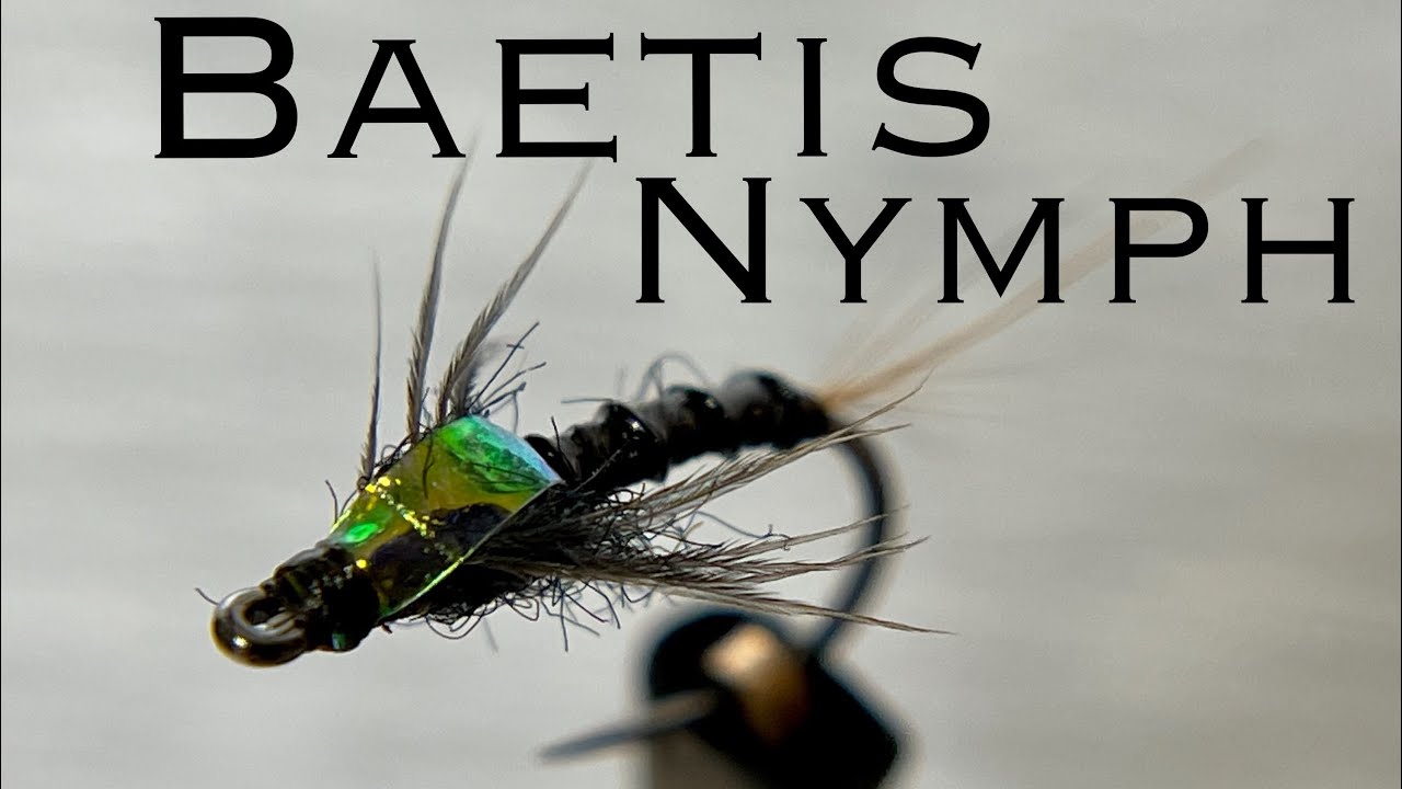 Backwoods Baetis Nymph Fly Tying