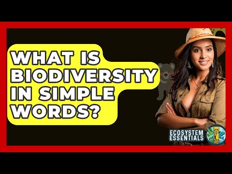 What Is Biodiversity In Simple Words? - Ecosystem Essentials