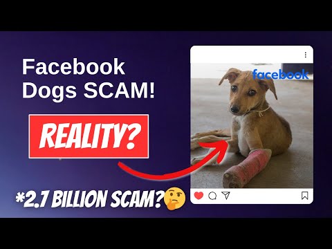 Alert: Facebook Dogs SCAM! Beware of It