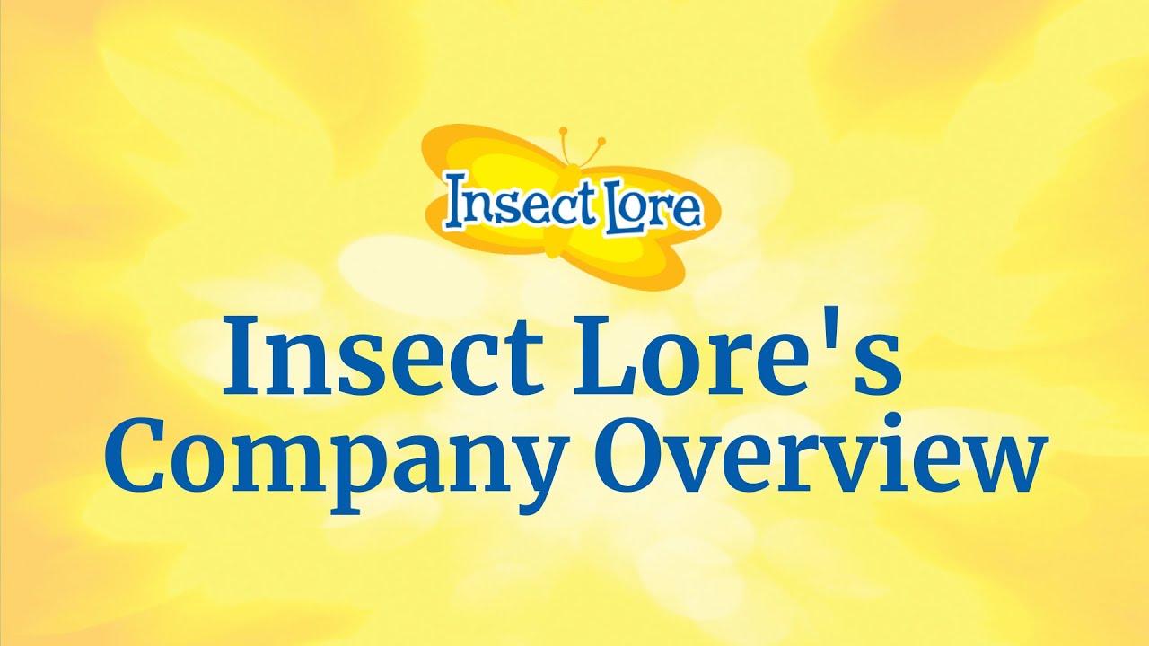 The Insect Lore Story: The Leading Provider of Live Insect Kits for Children and Educators