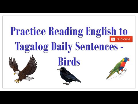 Practice Reading English to Tagalog Daily Sentences - Birds