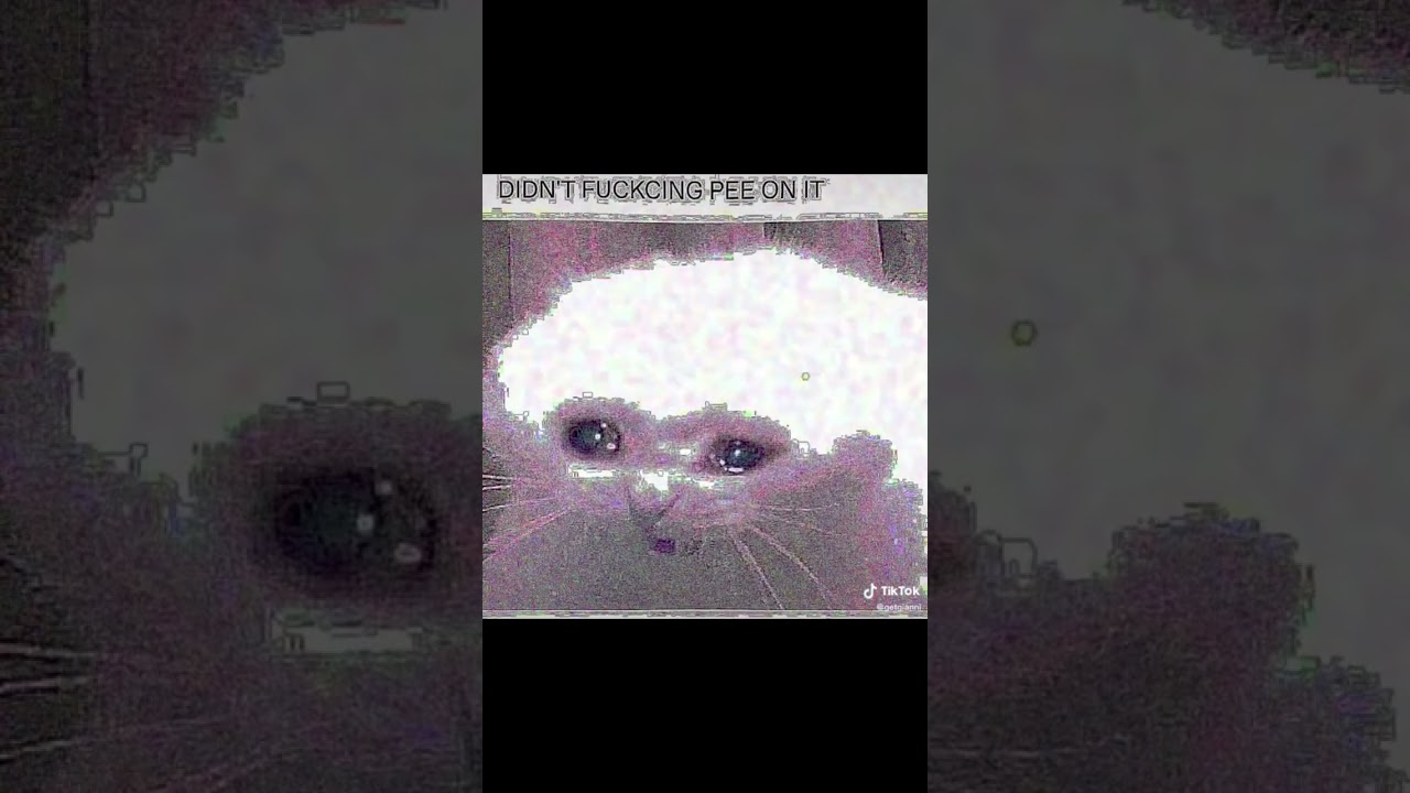 r/vexillology - CL Archives #vexillology #japan #lilpissboy #sus #gaslighting #funny #memes