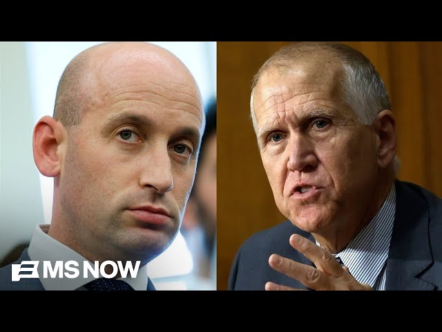 Republican Senator Tom Tillis Criticizes Stephen Miller's Greenland ...