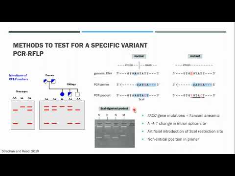 Genetic Testing and Pharmacogenetics