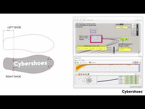 Optimizing Logo placement with EA Algorithm - Cybershoes®