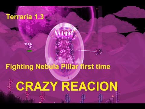 Terraria 1.3: Encountering Insane Nebula Pillar+Reaction