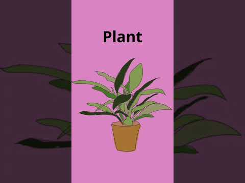 Egg 🥚 + plant = eggplant 🍆