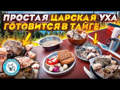 УХА из НАЛИМА. РАЗДЕЛКА налима. Рыбный день. fish soup. Налим. Готовим налима вкусно.