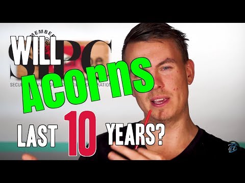 Will ACORNS Be Here In 10 Years? | Season 1 Episode 151
