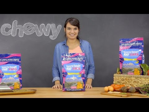 Natural Balance Fat Cats Food | Chewy