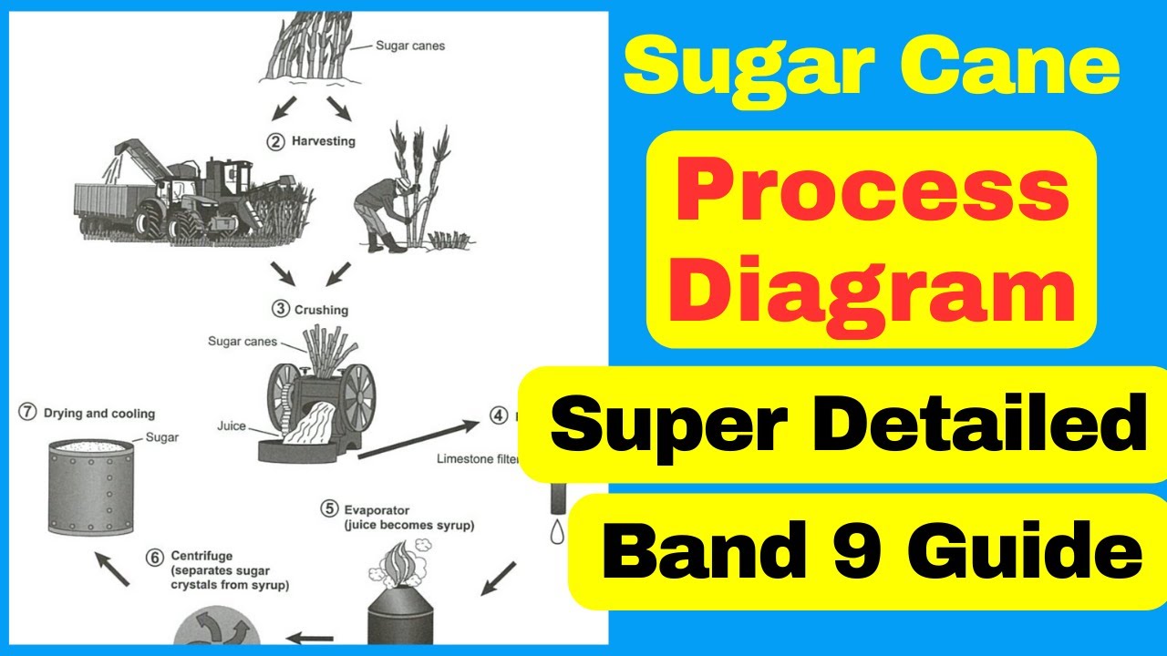 How to Describe a Process Diagram [IELTS Writing Task 1 Band 9 Guide]