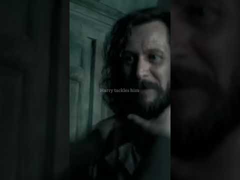 Harry Potter x Y/n Black pov (You finally met Sirius) Part 5