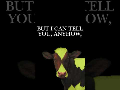 The Purple Cow.