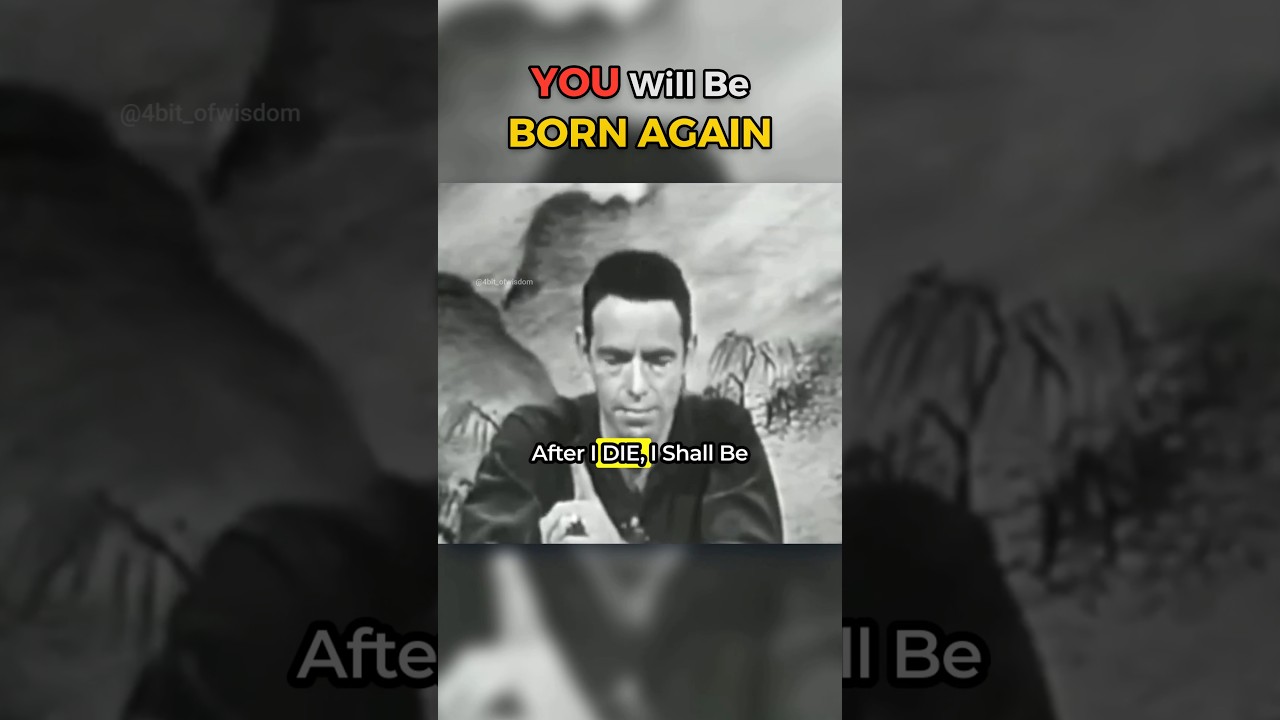 The TRUTH About Reincarnation🌅