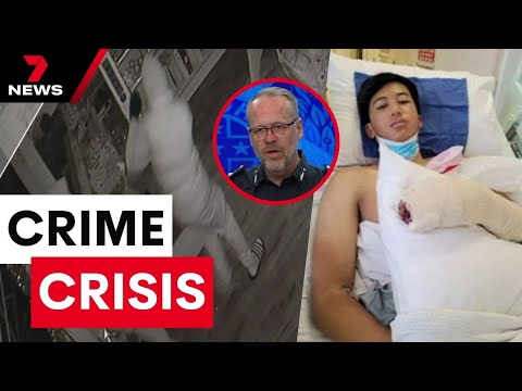 The damning stats exposing the rise of youth crime across Melbourne | 7 News Australia