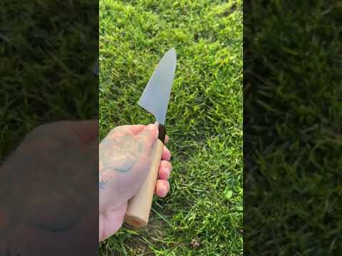 Masamoto KS Gyuto 240 #shorts