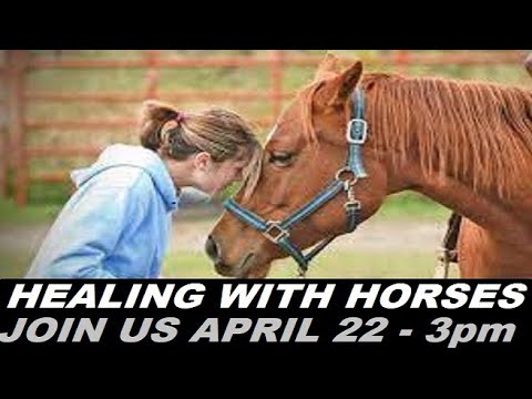 Healing with Horses - Wings Week in Review. Meet Win & Terri Friday April 22 - 3pm - LIVE CHAT