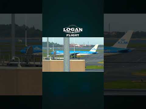 KLM 777 Touchdown at Boston Logan Runway 4R | Epic Plane Spotting