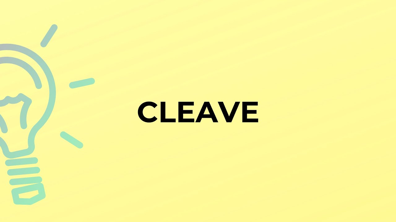 What is the meaning of the word CLEAVE?