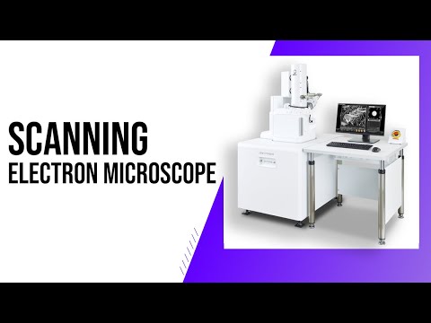 What is " Scanning Electron Microscope " ? | Clear Explain