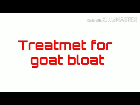 Treatment for bloat in goat