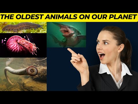 THE OLDEST ANIMALS ON OUR PLANET @TenTrendFacts