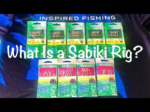 What is a Sabiki Rig?