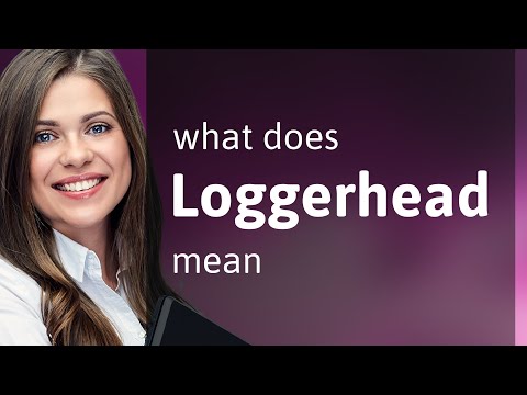 Loggerhead — meaning of LOGGERHEAD