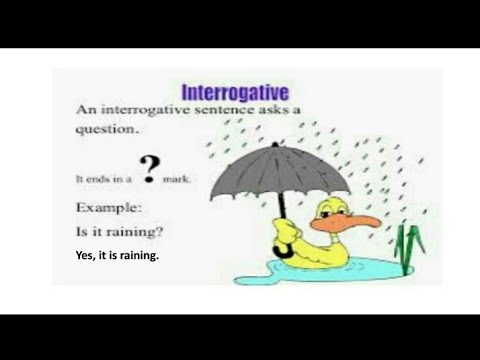 Interrogative Sentence- Learn Basic English Grammer| Kids learning Video