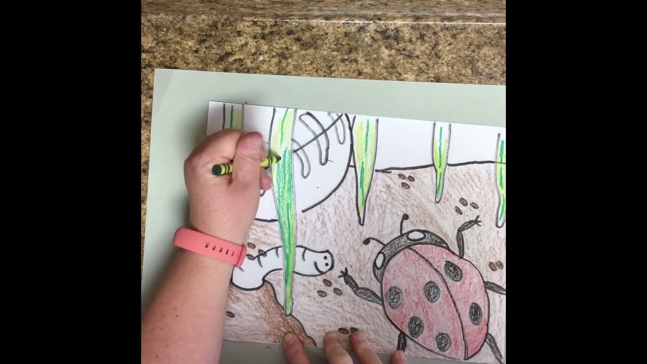 Proportion Drawing - 