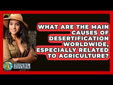 What Are The Main Causes Of Desertification Worldwide, Especially Related To Agriculture?