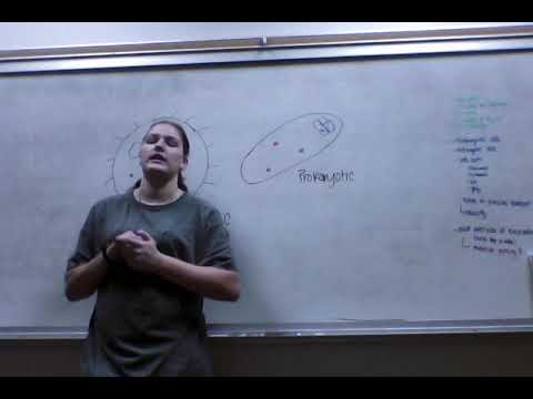 Microbiology Exam 2 Review