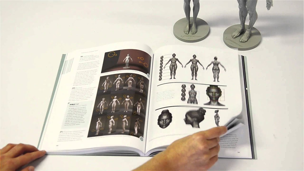 Anatomy for 3D Artists flick-through