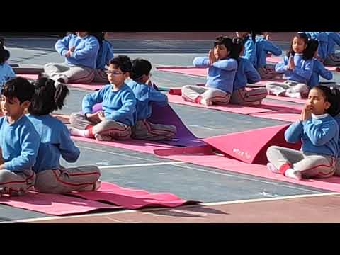 Funtatholon-Sports day function at G D Goenka Public School, Sarita Vihar