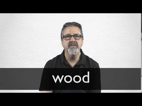 How to pronounce WOOD in British English
