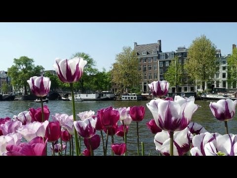 Best Time to Visit Amsterdam | Amsterdam Travel