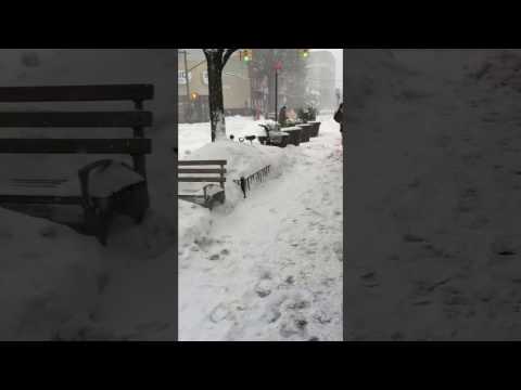 Heavy Snow Day In Sunnyside Queens, NYC