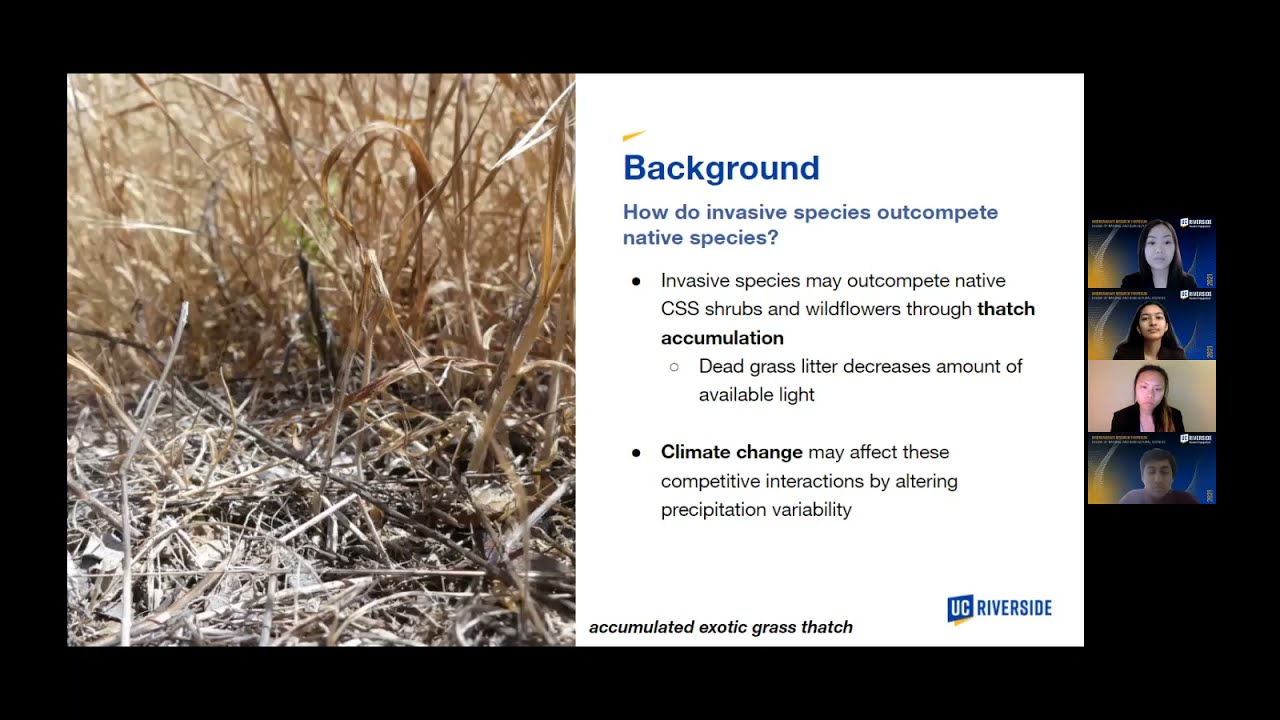 UCR Undergraduate Research:  Advyth Ramachandran, Rhea Amatya, Thuy Tien Bui, and Caryn Iwanaga