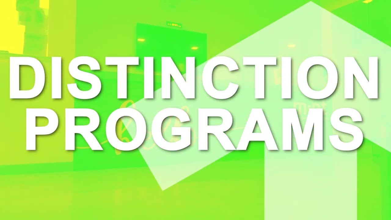 Distinction Programs at MINT College