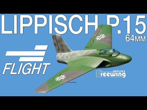 Revisiting the Freewing Lippisch P.15 64mm EDF Jet! - Motion RC Flight