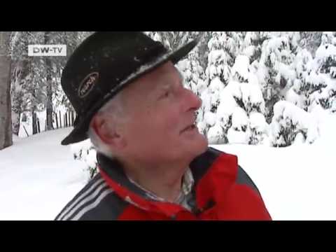 Sledding in style | Video of the day