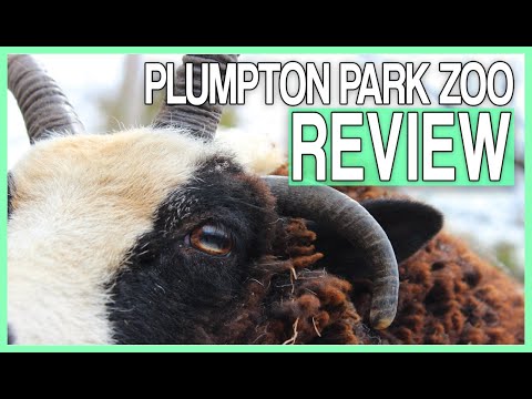 Plumpton Park Zoo REVIEW! (2020)
