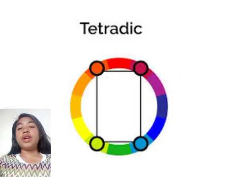 Color Psychology in Marketing: What do colors mean and how do they affect consumers