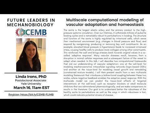 Future Leaders in Mechanobiology Seminar: Linda Irons